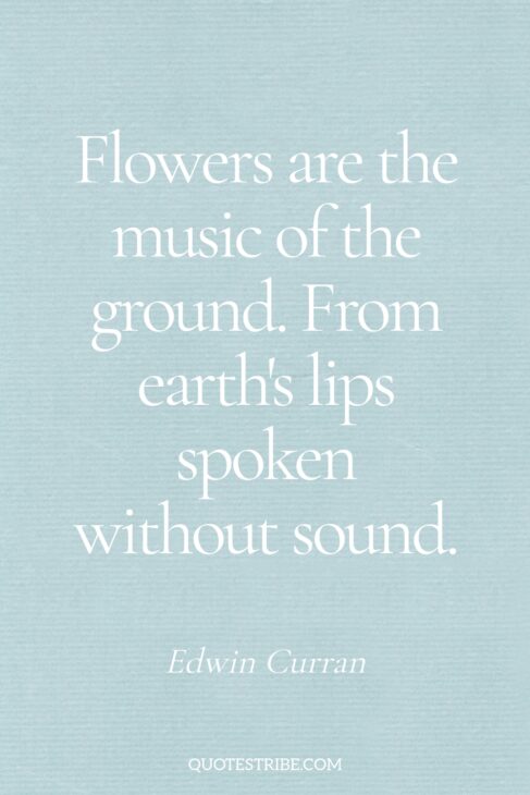 21 Quotes That Show the Beauty of Flowers