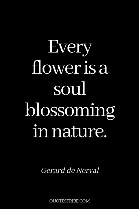 21 Quotes That Show the Beauty of Flowers