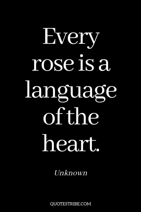 21 Quotes That Show the Beauty of Flowers
