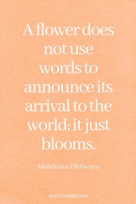 21 Quotes That Show the Beauty of Flowers